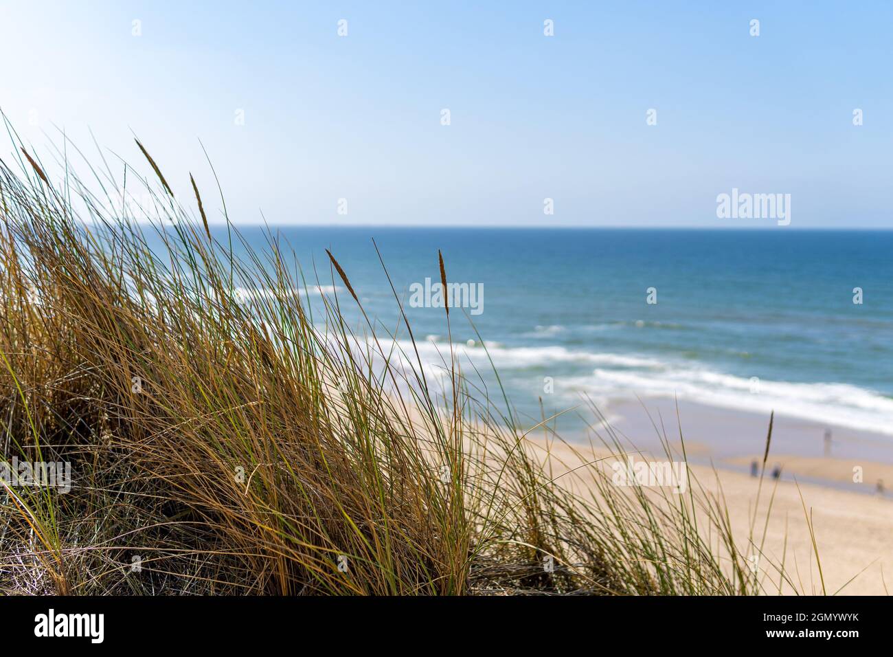 Beach and Ocean. Focus on foreground. Copy space in the sky Stock Photo ...