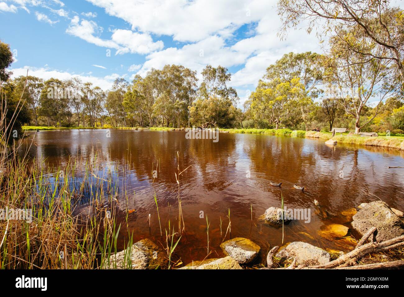 Darebin Parklands in Melbourne Australia Stock Photo - Alamy