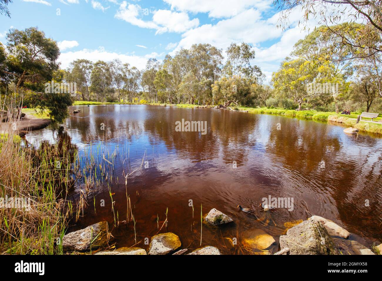 Darebin Parklands in Melbourne Australia Stock Photo - Alamy