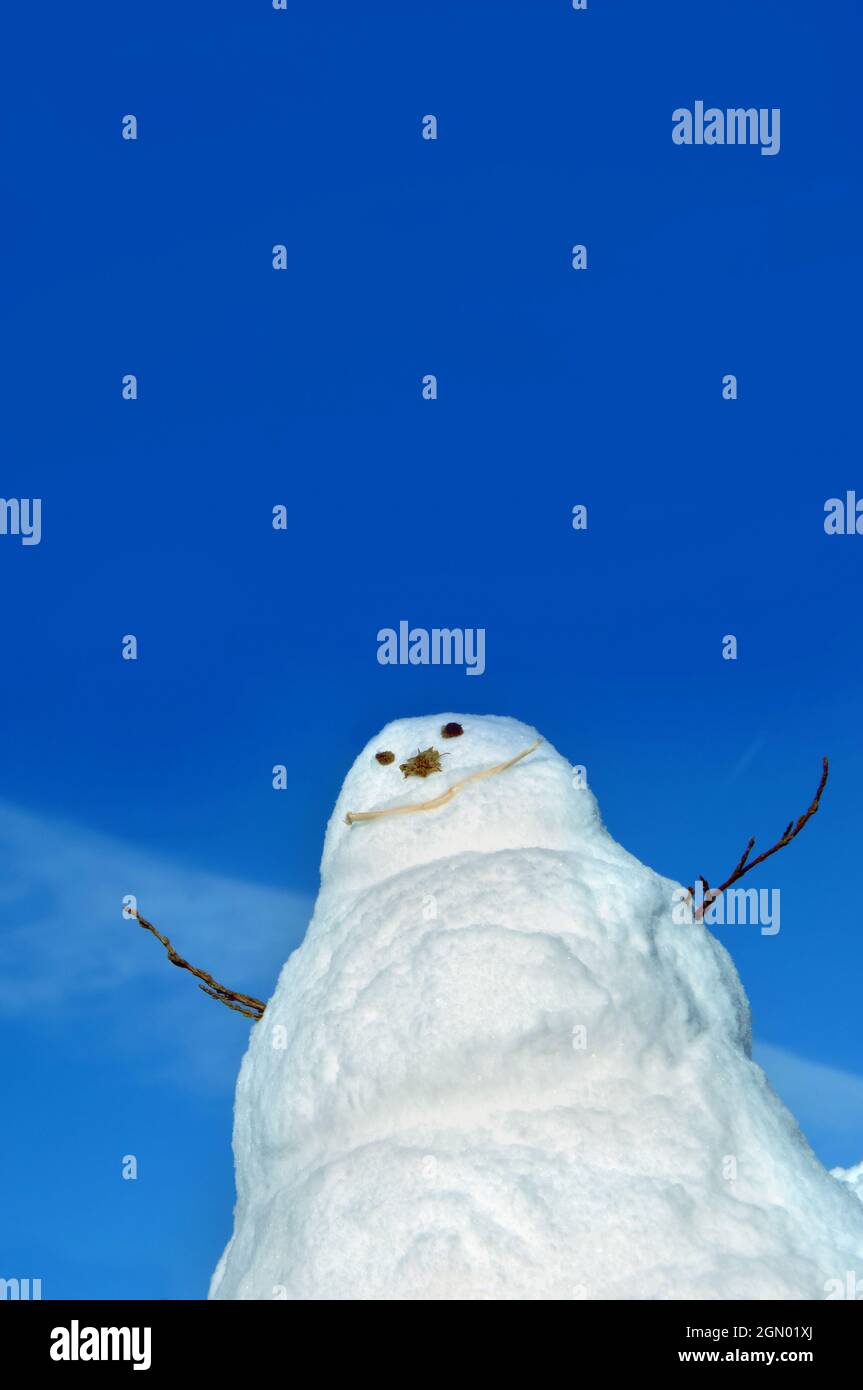 Twig arms hi-res stock photography and images - Alamy