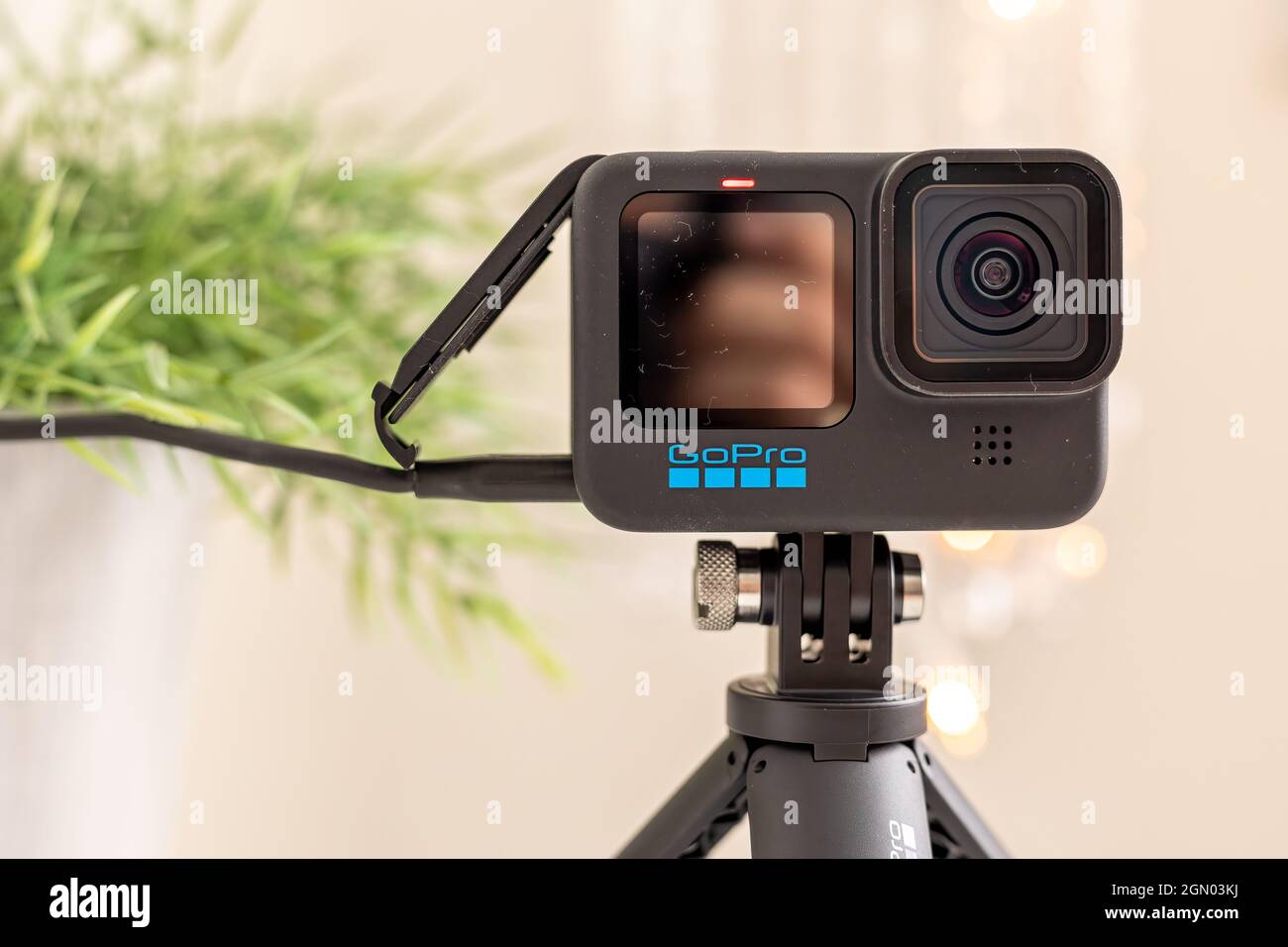 Frankfurt, Germany - 20th September 2021: A german photographer bought ...