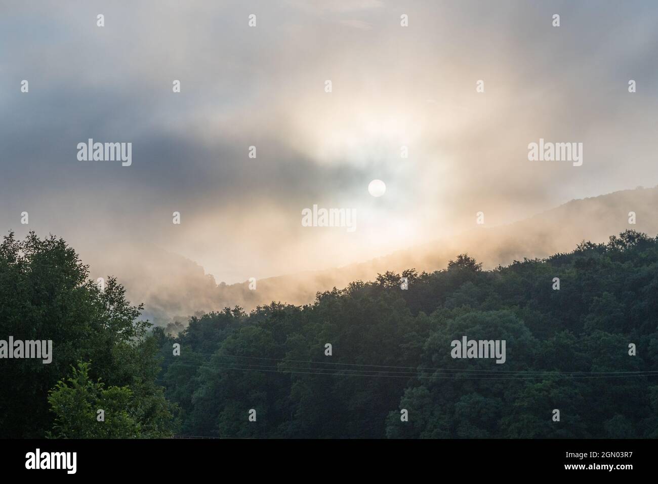 Smog from the fire hangs over the green trees. Through the smoke you ...