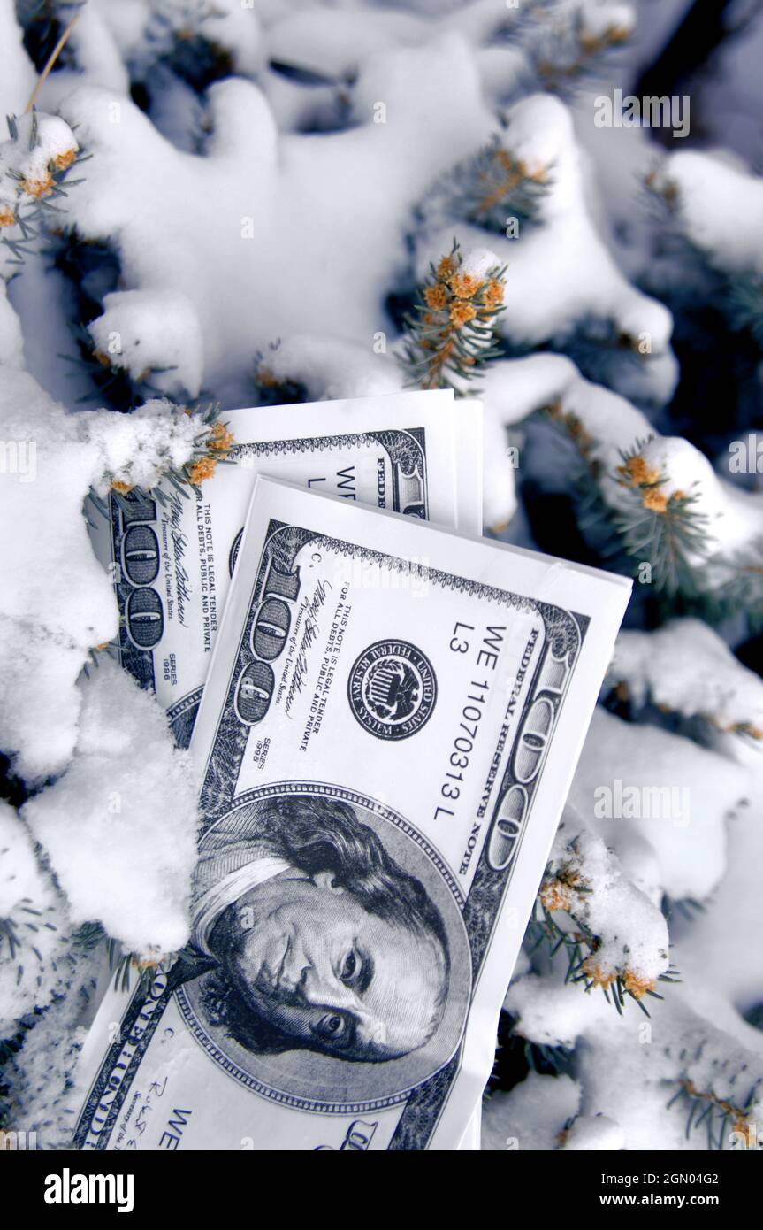 Play money lays half buried in the snow. Image could represent "cold ...