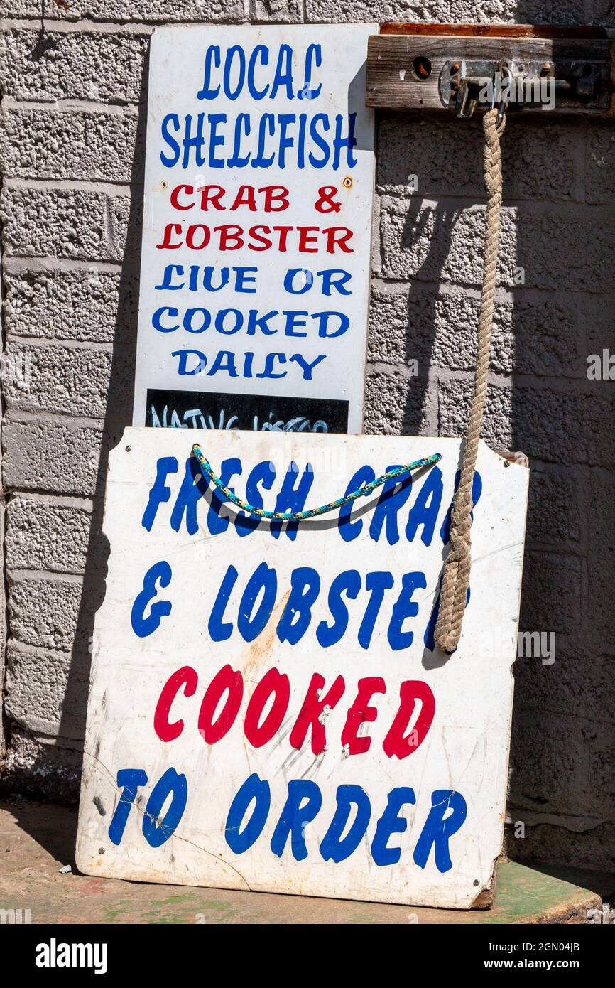 In Salcombe, Devon, signs advertise the availability of local shellfish ...