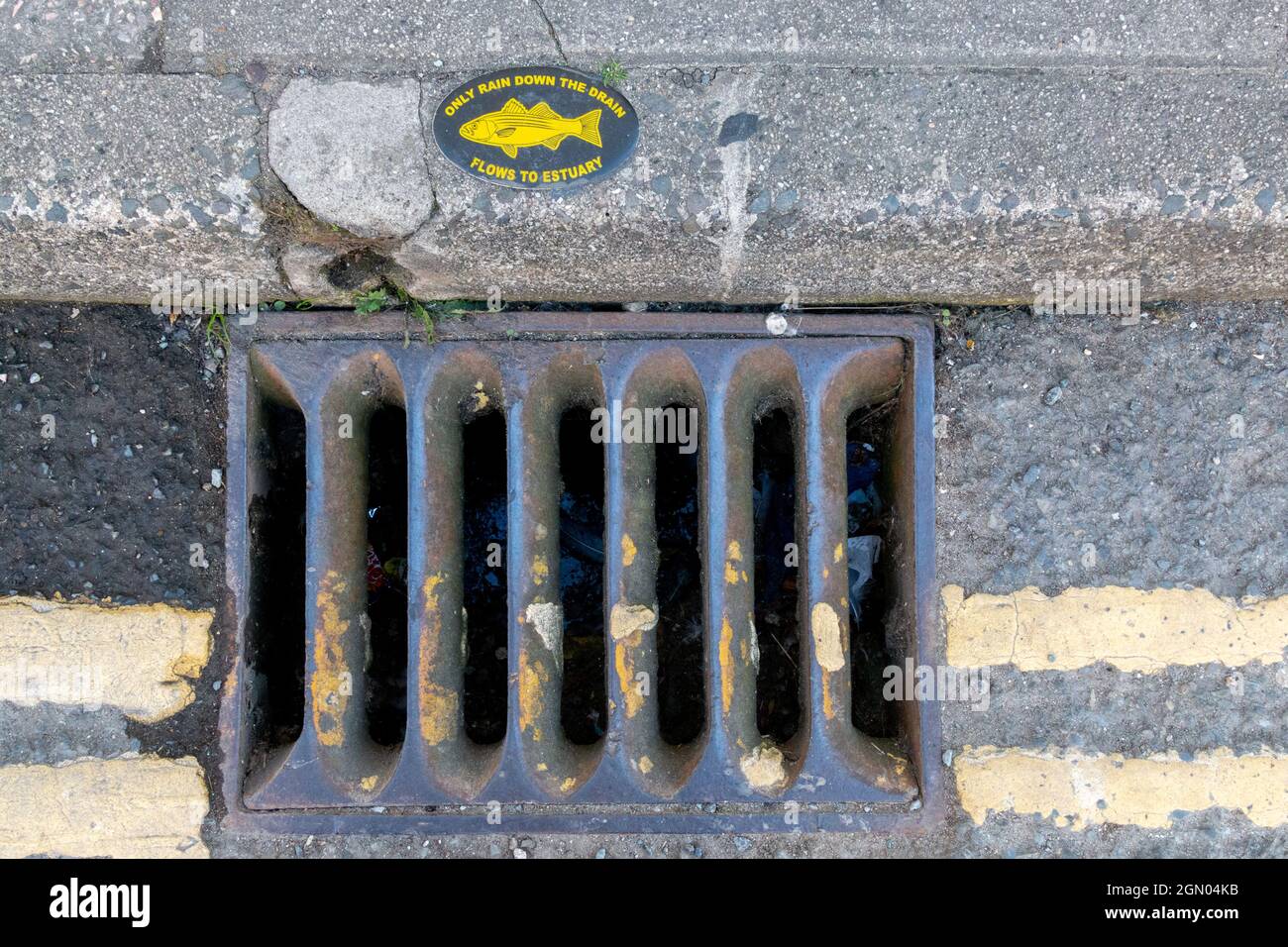 Yellow fish drain uk hi-res stock photography and images - Alamy