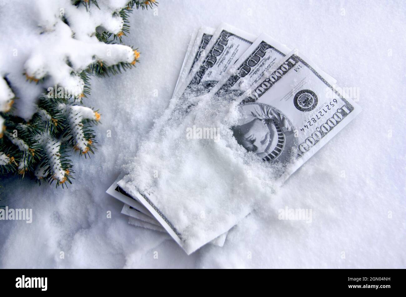 Pile of play money is covered with snow. Fir branches frame stash of ...