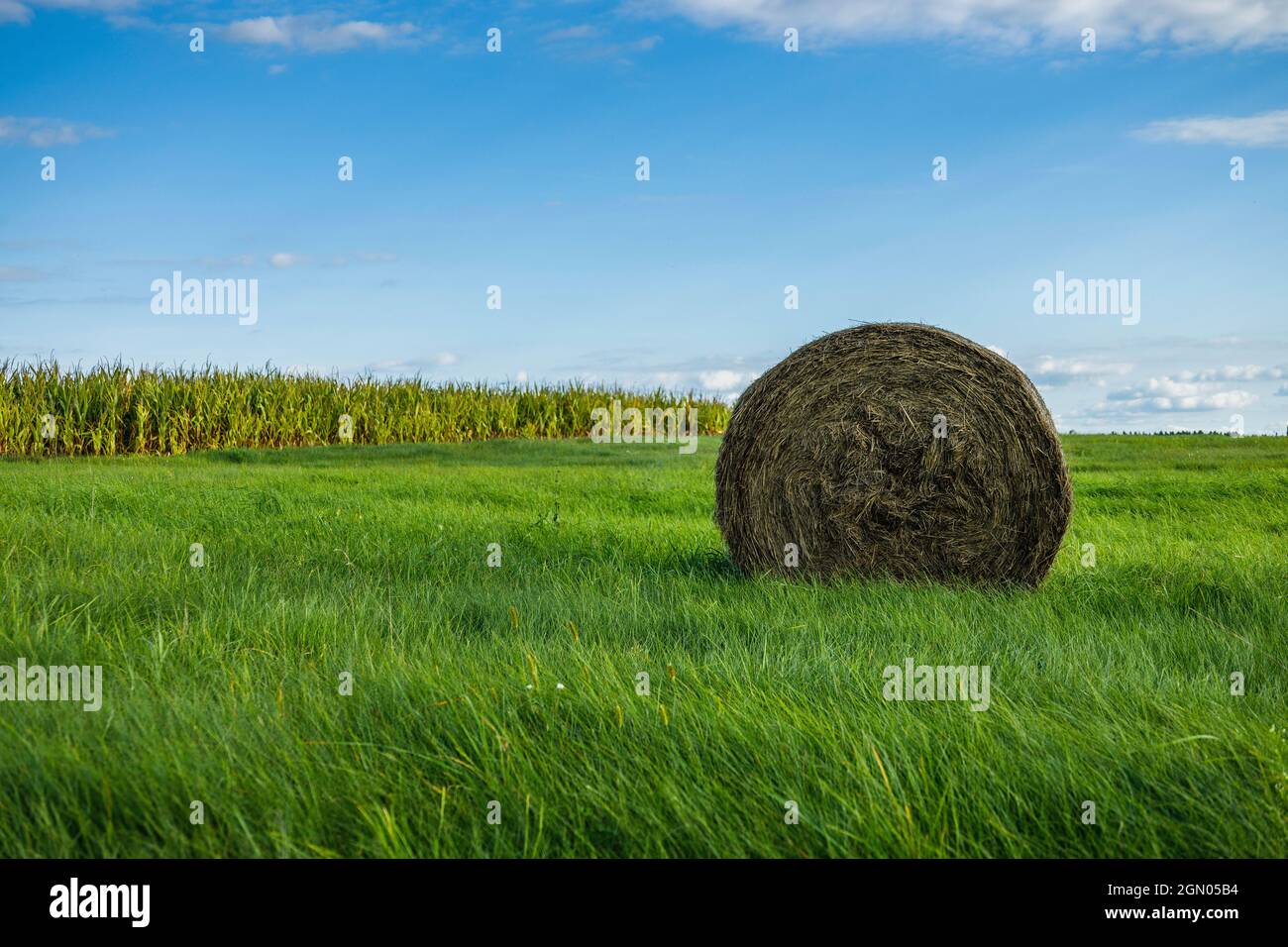 Straw Roll under a Cloudy Blue Sky in an Agricultural Landscape Stock ...