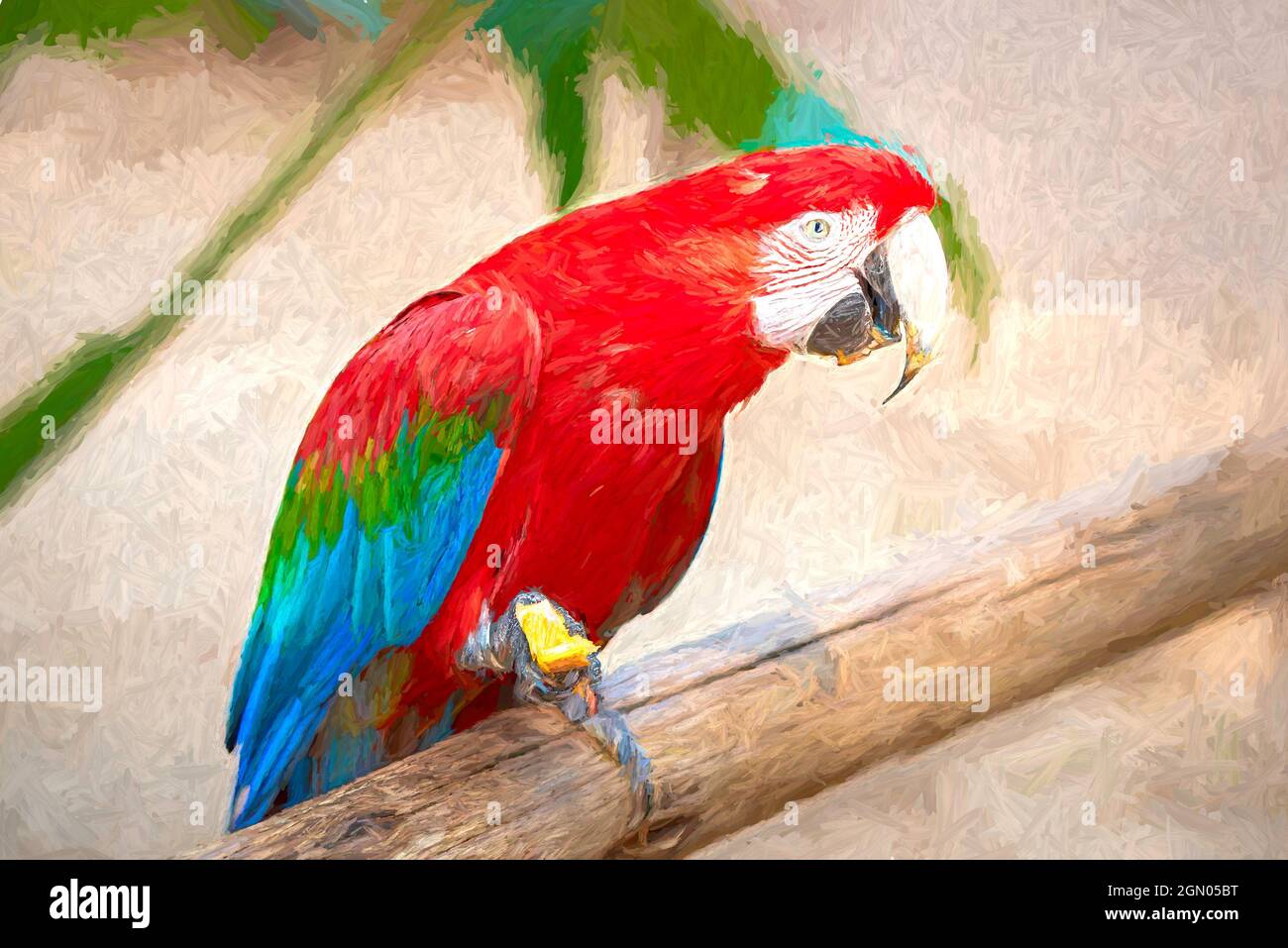 Digital painting of a red and blue macaw perched on a branch Stock ...