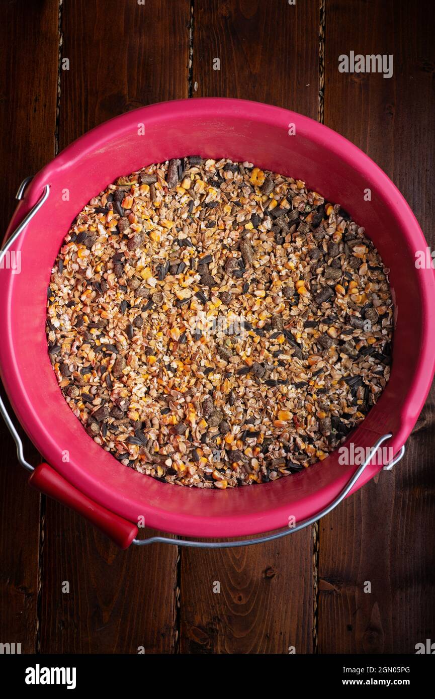 Basical hi-res stock photography and images - Alamy