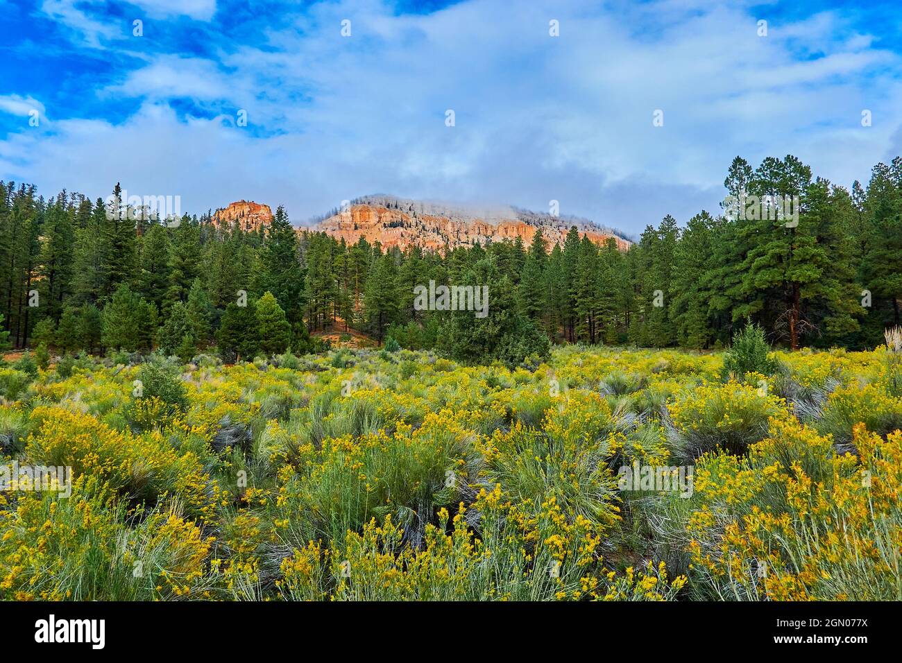 Sandstone Cliffs with clouds near Pine Lake Campground, UT Stock Photo ...