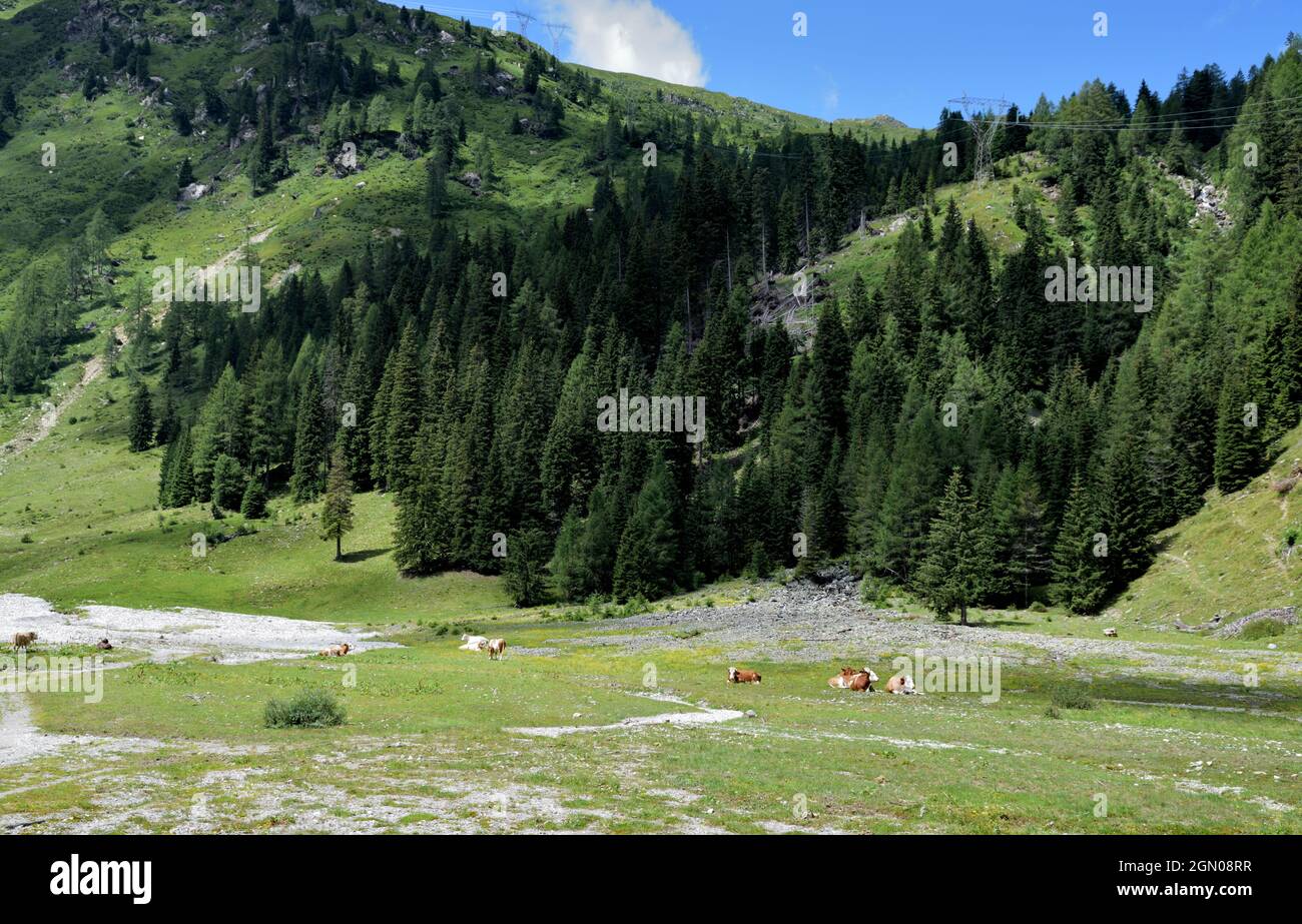 Austrian italian border hi-res stock photography and images - Alamy