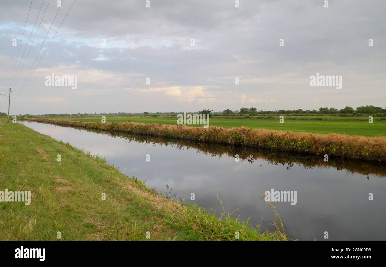 Water canal in Suriname Stock Photo - Alamy