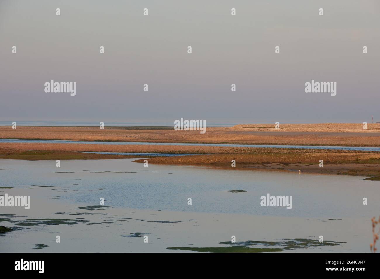 Small stream of water seen at low tide in Pagham, UK Stock Photo - Alamy