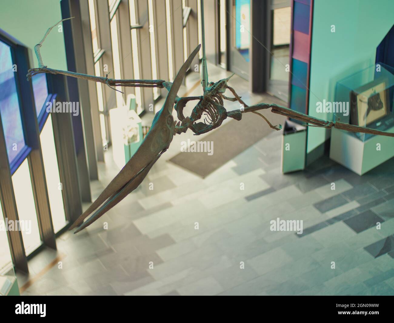 OVERLAND PARK, UNITED STATES - Aug 29, 2021: A pterodactyl dinosaur ...