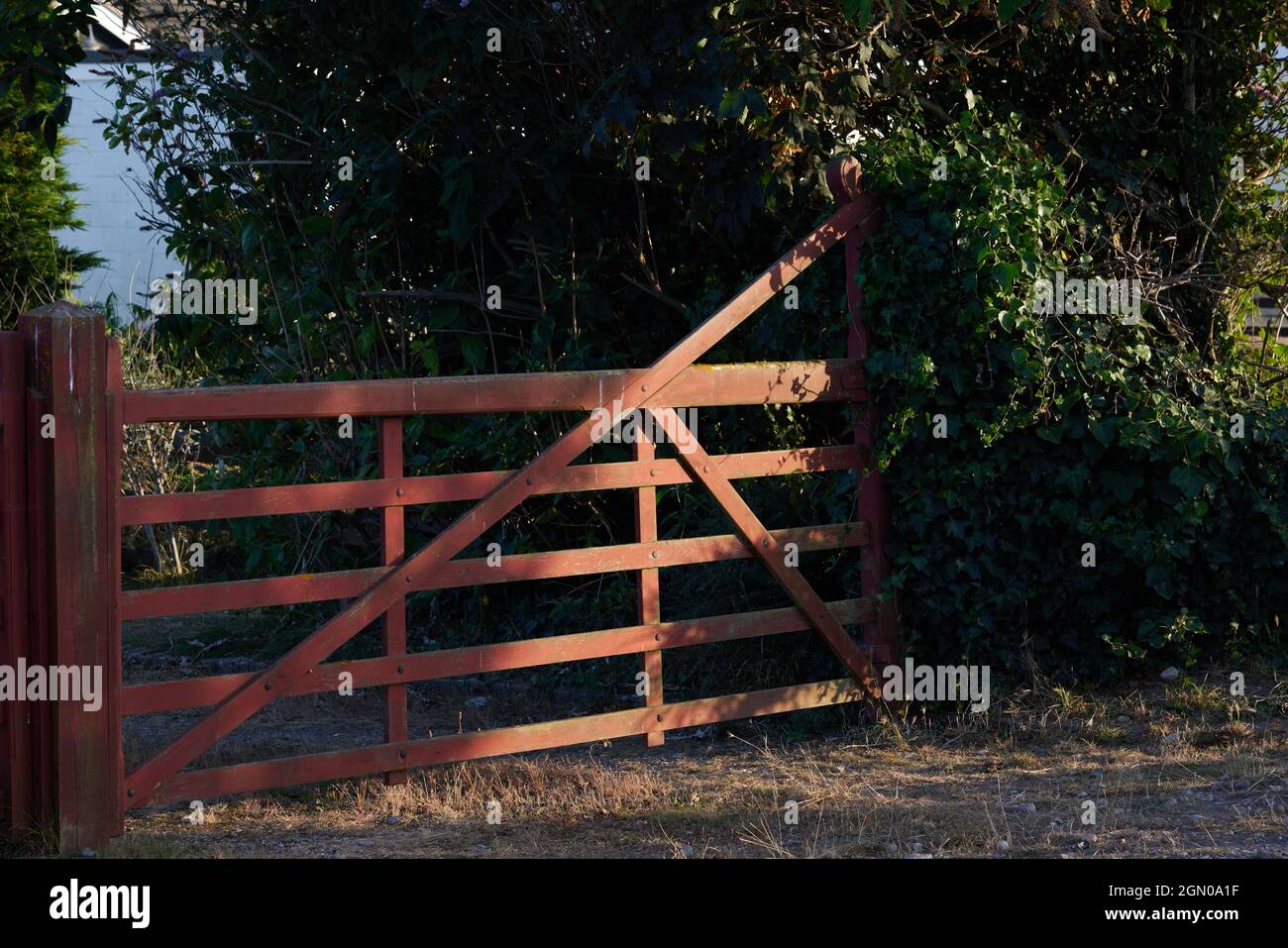 Large garden gate seen in the afternoon sunlight Stock Photo - Alamy