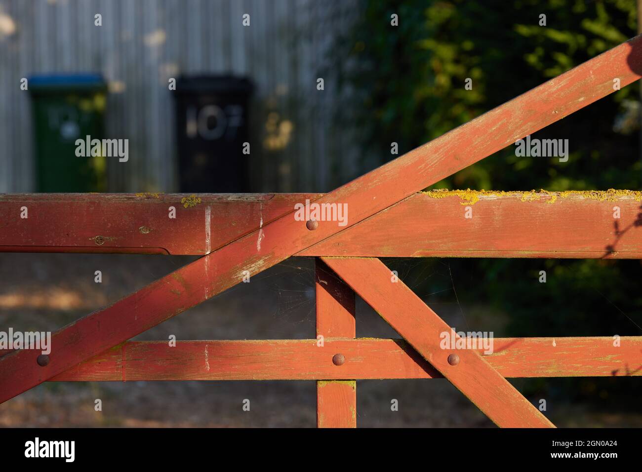 Large garden gate seen in the afternoon sunlight Stock Photo - Alamy
