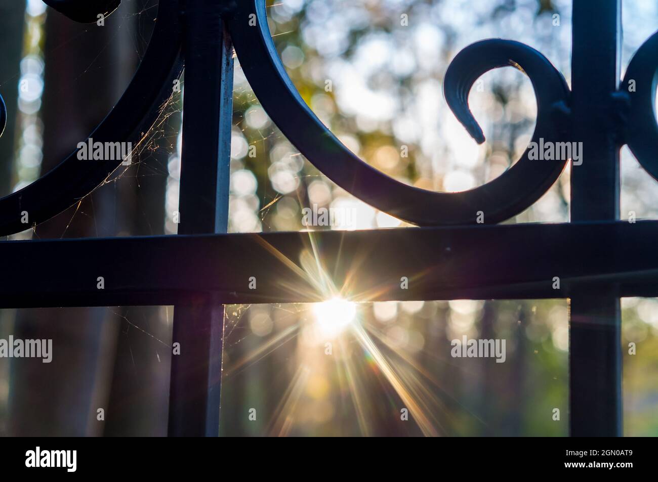 The sun through the fence. Element of a wrought iron fence. Rays of ...
