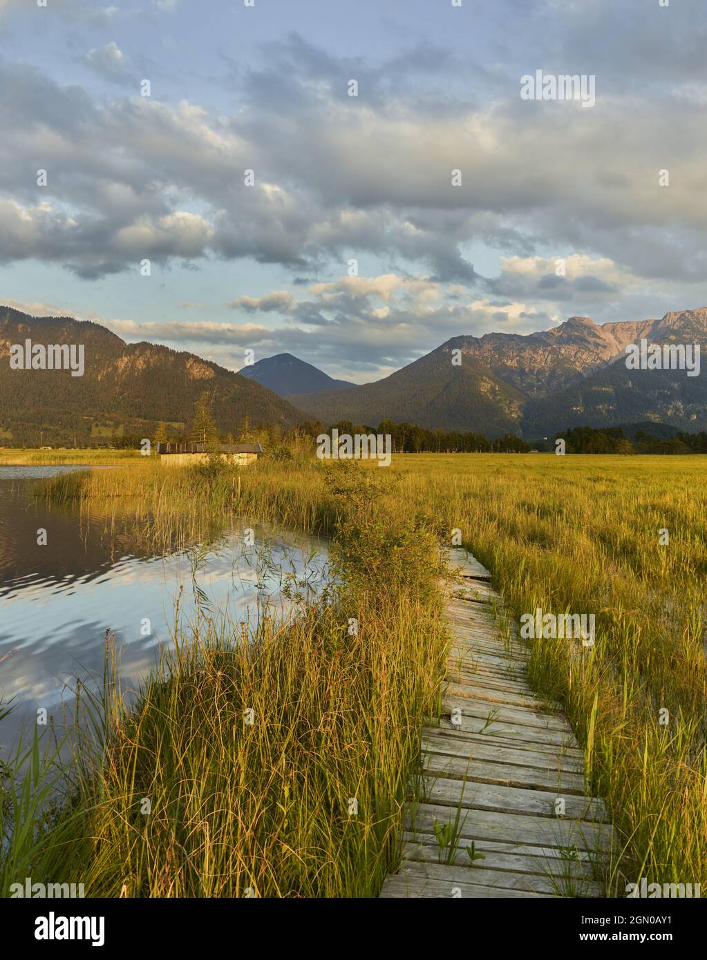 Murnauer moos summer hi-res stock photography and images - Alamy