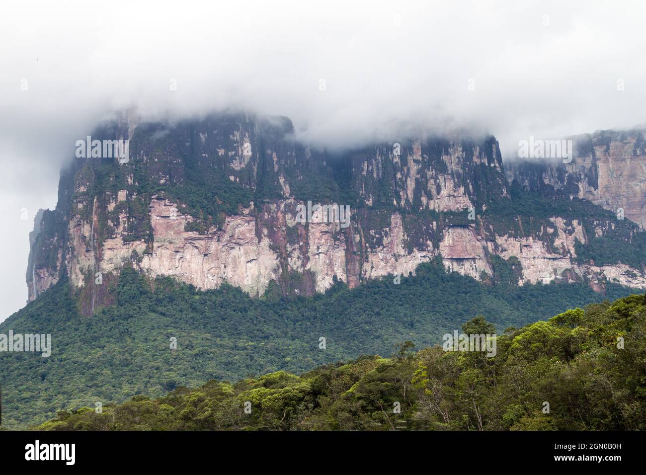 Tepui (table mountain) Auyan in National Park Canaima, Venezuela Stock ...