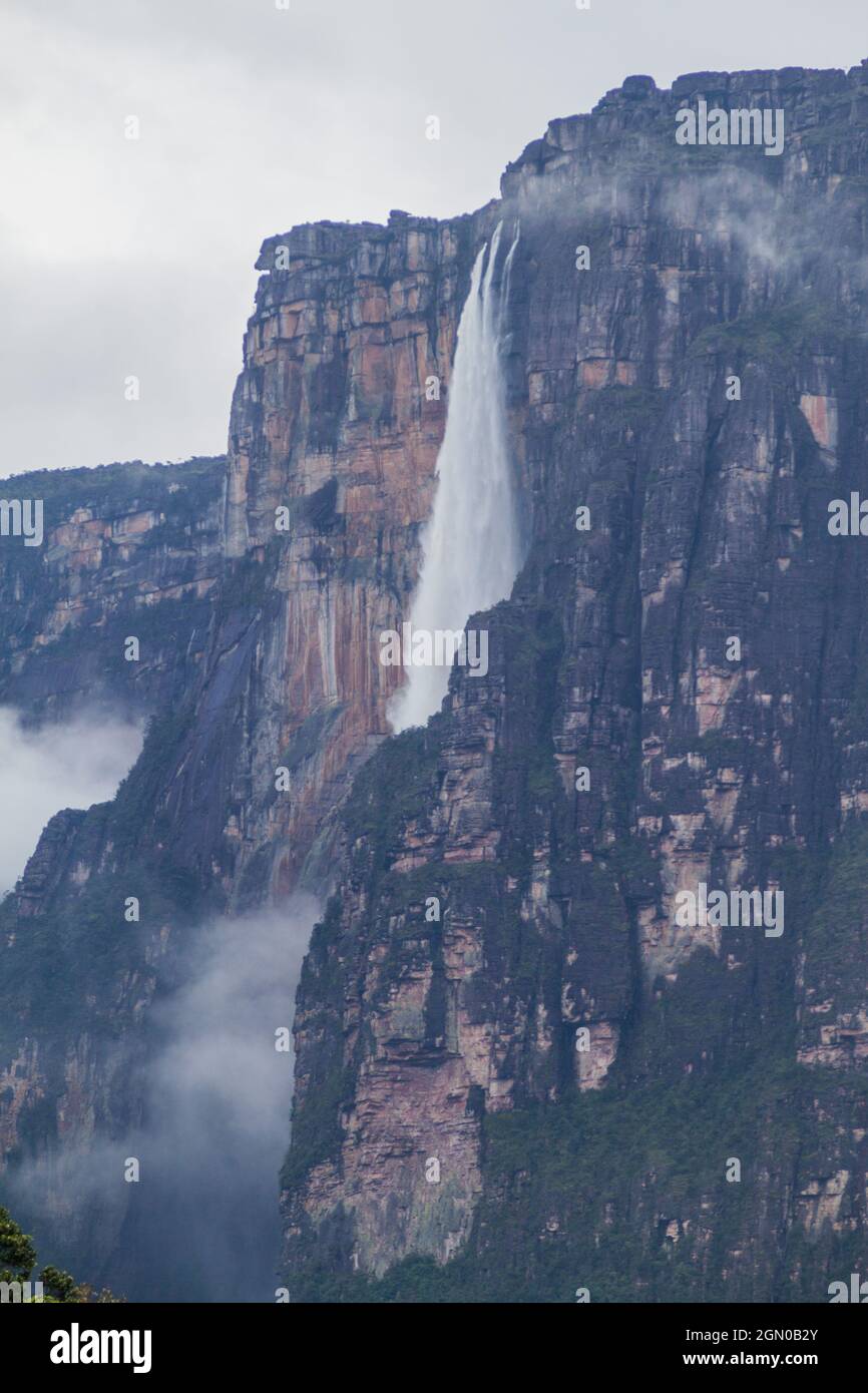 Tepui (table mountain) Auyan and Angel Falls (Salto Angel) in National ...