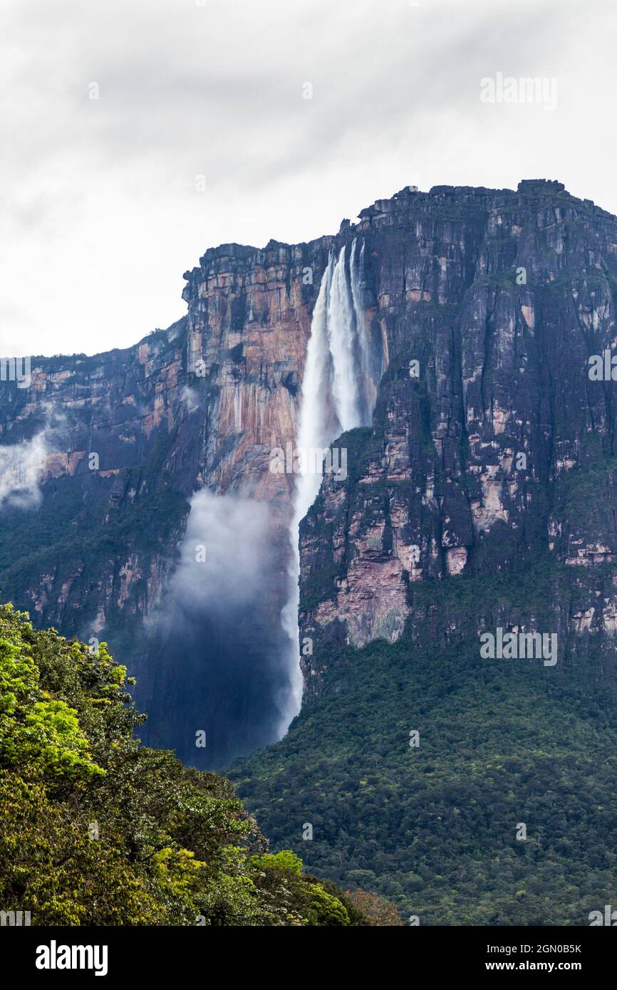 Angel Falls (Salto Angel), world's highest waterfall (978 m), Venezuela ...