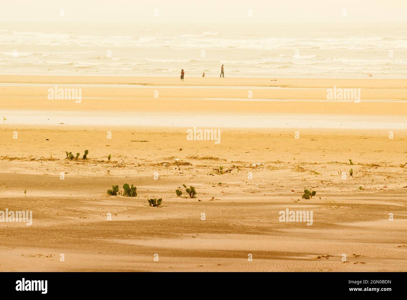 Tajpur sea beach - bay of Bengal, India. View of sand dunes with bay of ...