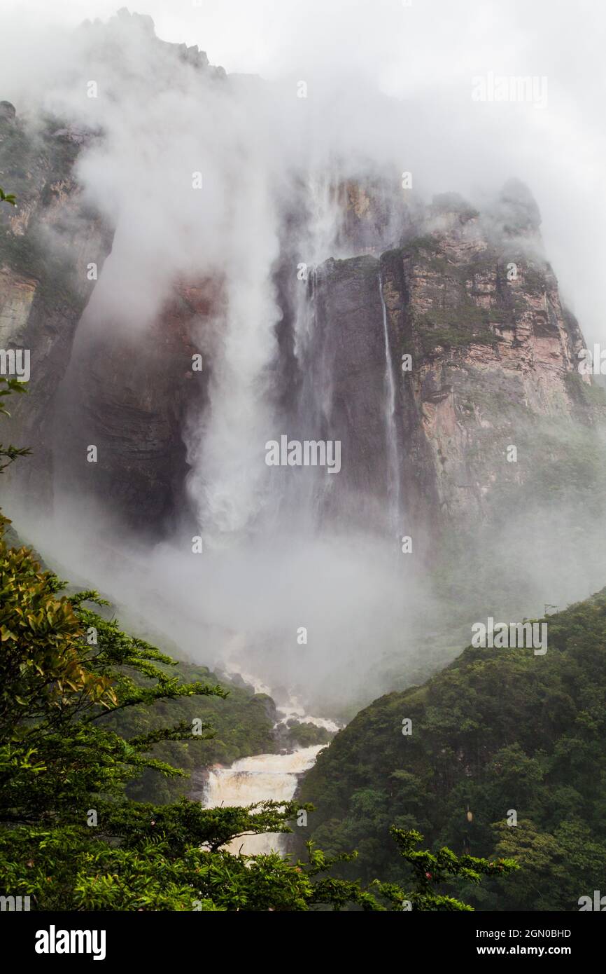 Angel Falls (Salto Angel), the highest waterfall in the world (978 m ...