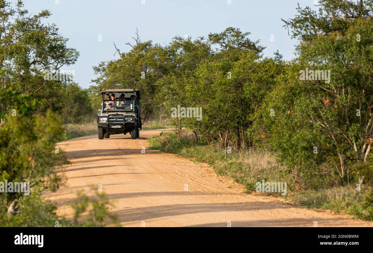 African bushes. Kruger National Park. Safari. Landscape Stock Photo - Alamy