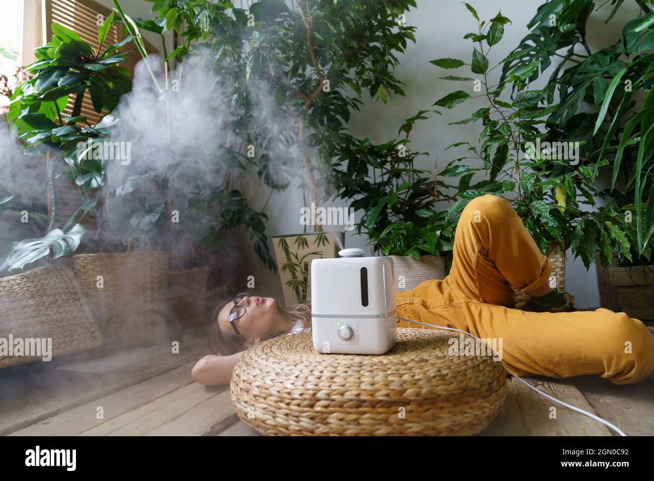 Care for houseplants: using air humidifier at home to keep humidity and ...