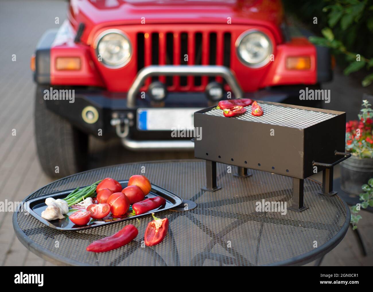 Tomatoes, onions and garlic on a tray. Red hot pepper on grill. Black ...