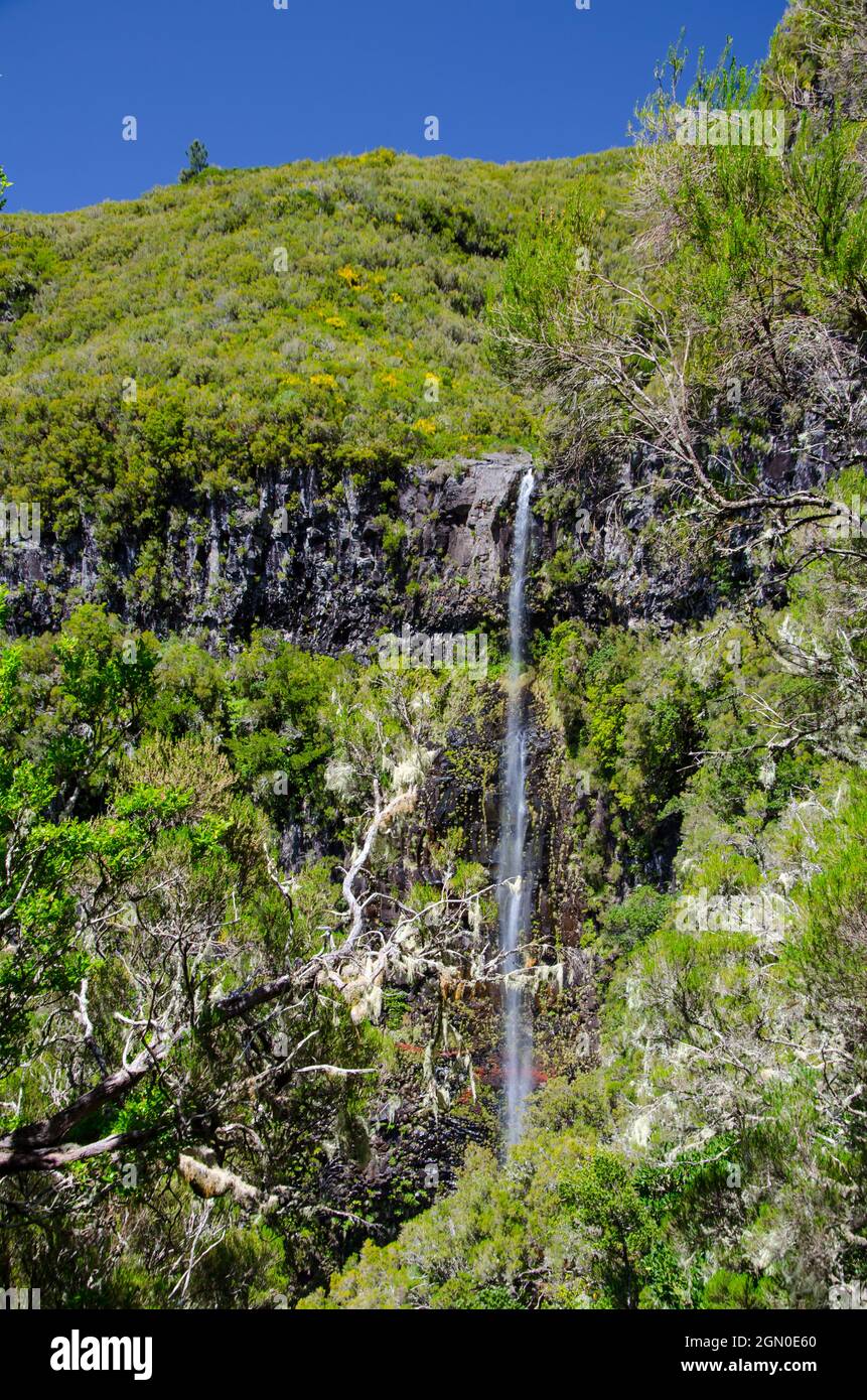 Vertical shot of the beautiful Risco waterfall, Madeira, Portugal Stock ...