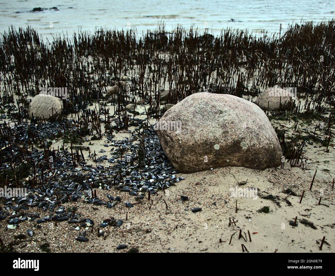 Stone at bank Stock Photo - Alamy