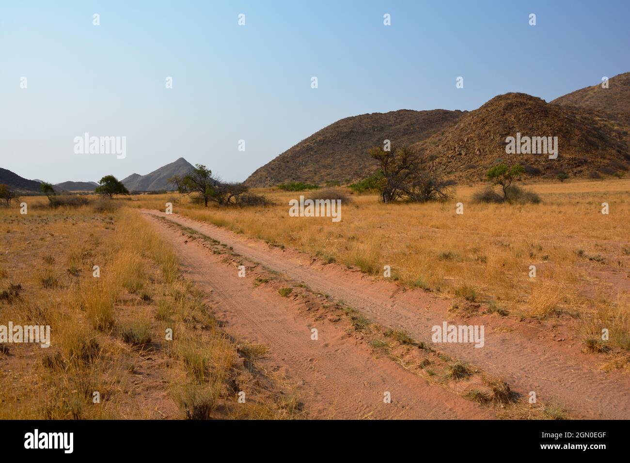 Angola; in the southern part of Namibe Province; Iona National Park ...