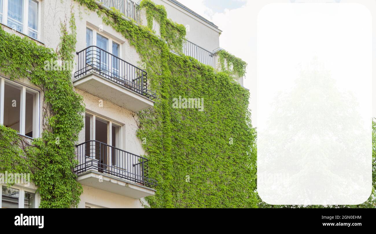 A modern multi-storey building is covered with vines. The building is ...
