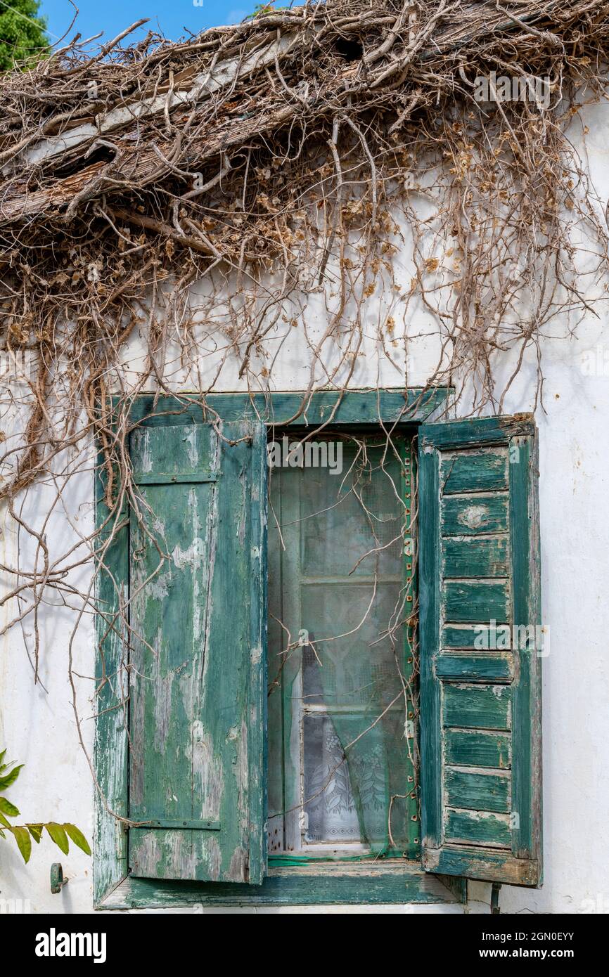 rustic green painted shutters on an old greek derelict building with ...