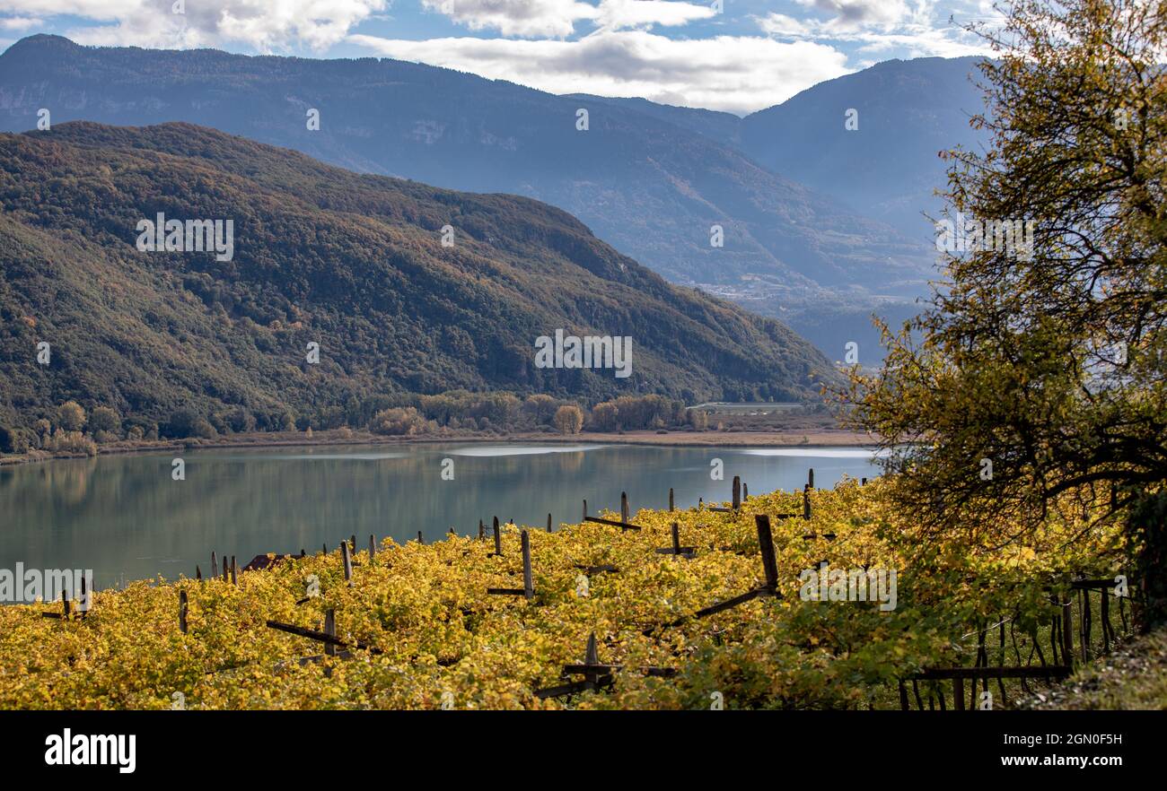 Lago di Caldaro, south tyrol, italy Stock Photo - Alamy