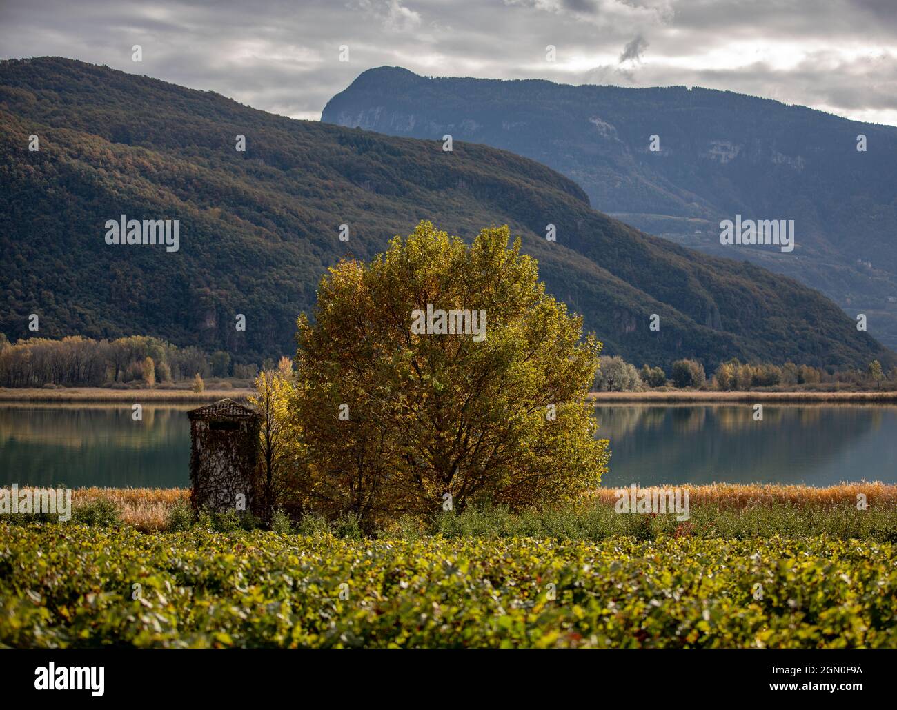 Lago del vino hi-res stock photography and images - Alamy