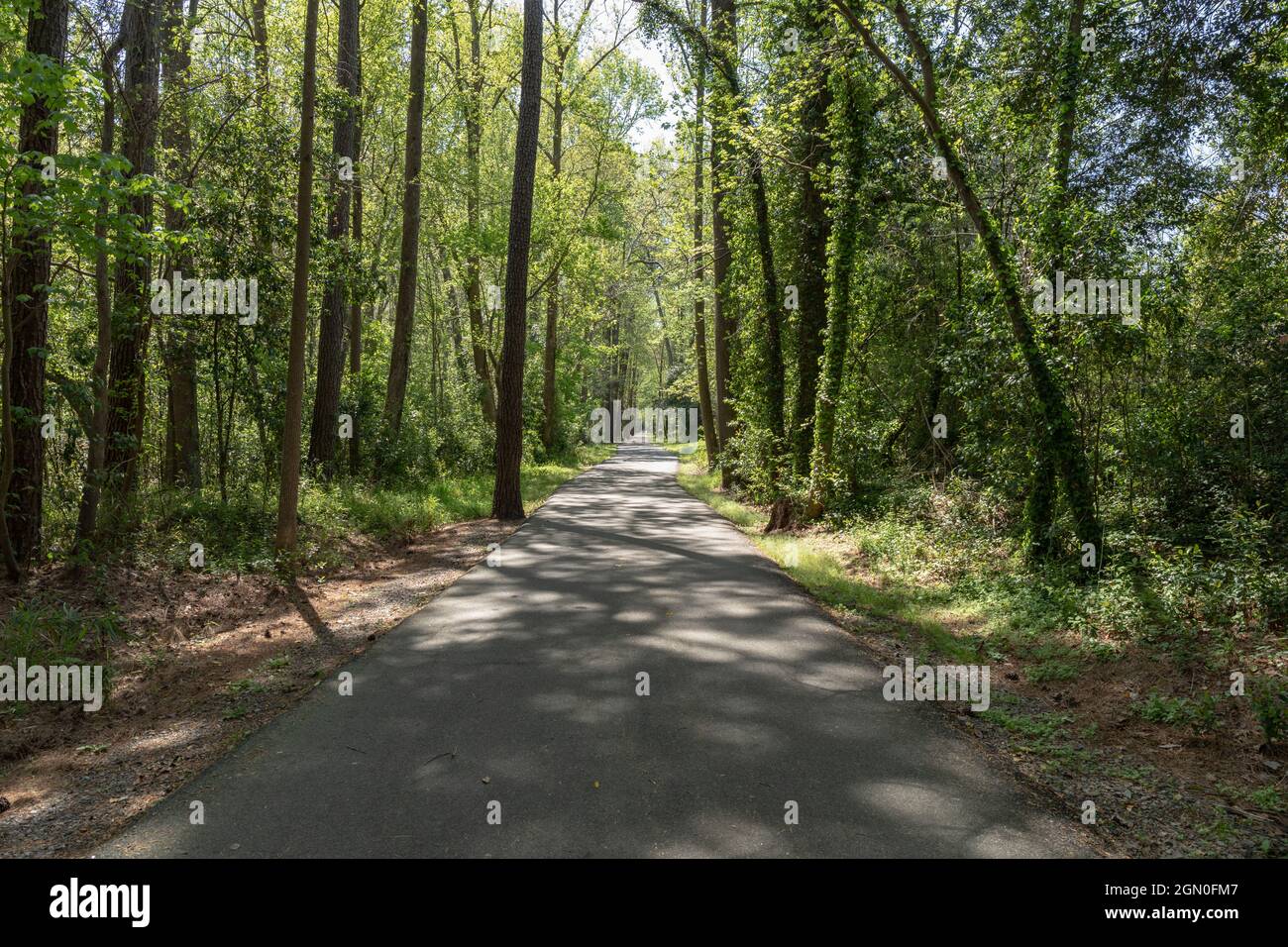 View down a long, straight stretch of public access bike and walking ...