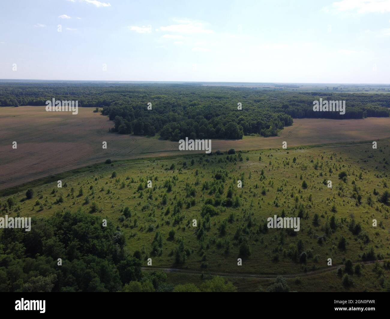 Green deciduous forest next to a farm field. Landscape from a bird's ...