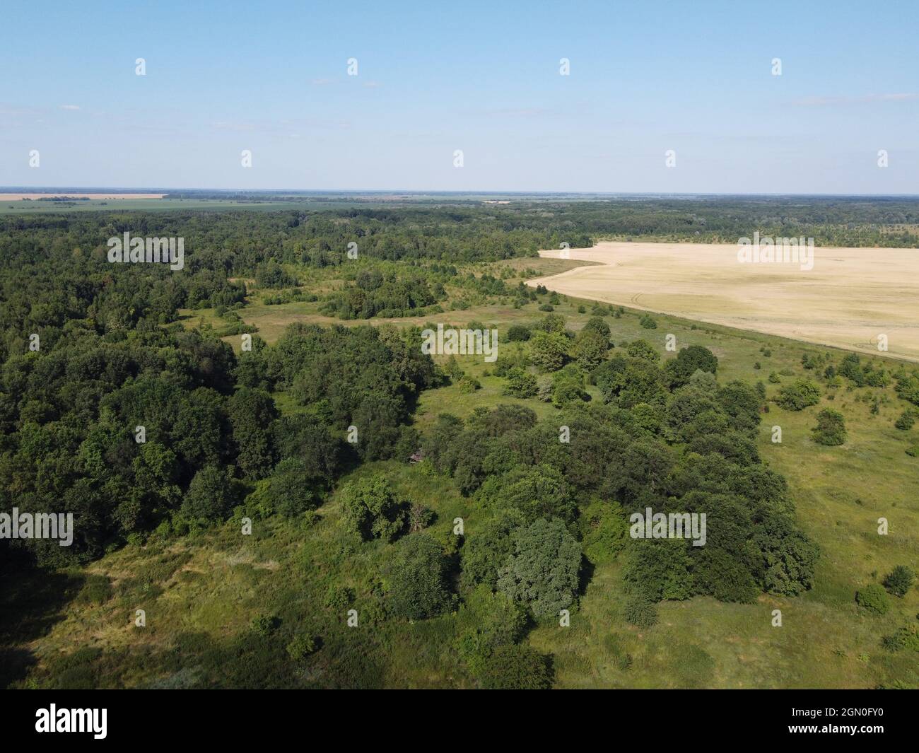 Green deciduous forest next to a farm field. Landscape from a bird's ...