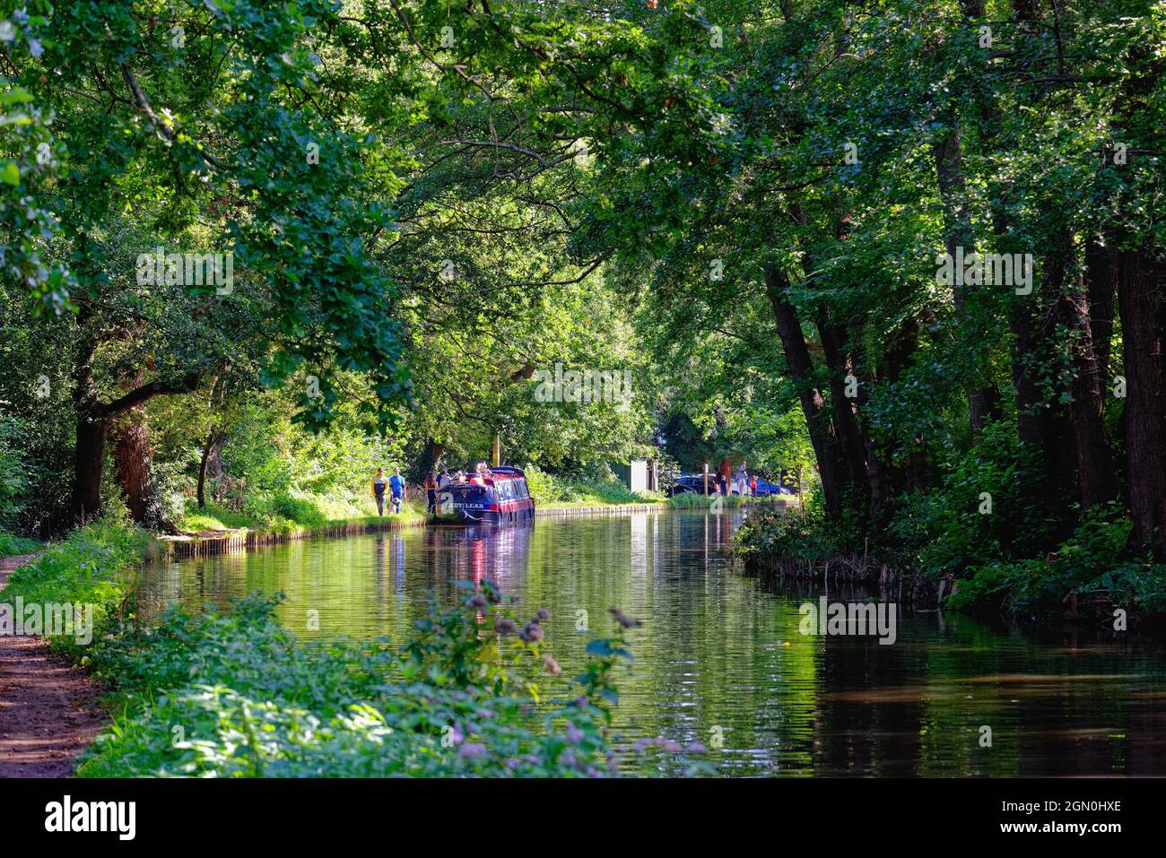 The River Wey Navigation canal at Pyrford on a sunny summers day ...