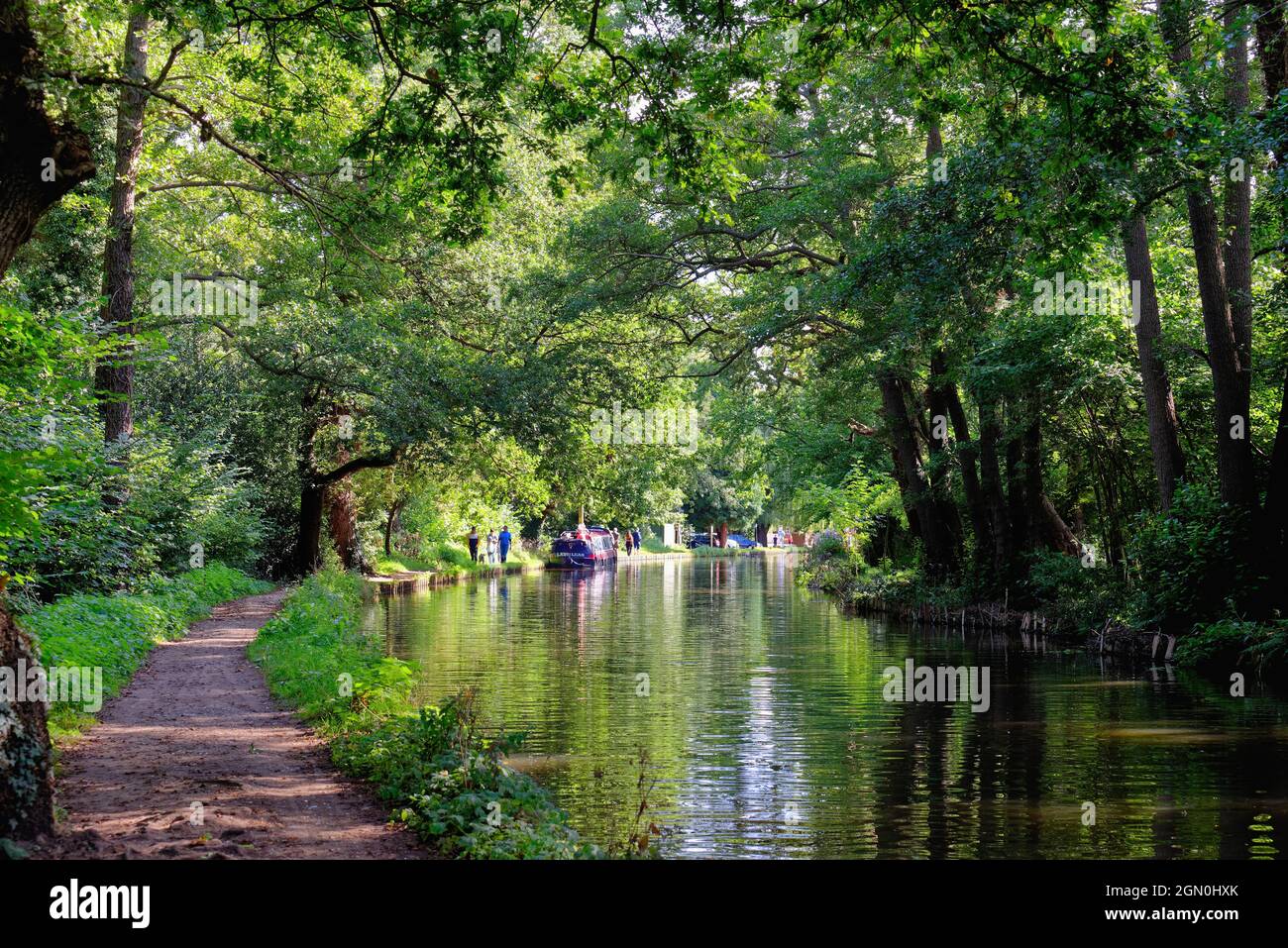 The River Wey Navigation canal at Pyrford on a sunny summers day ...