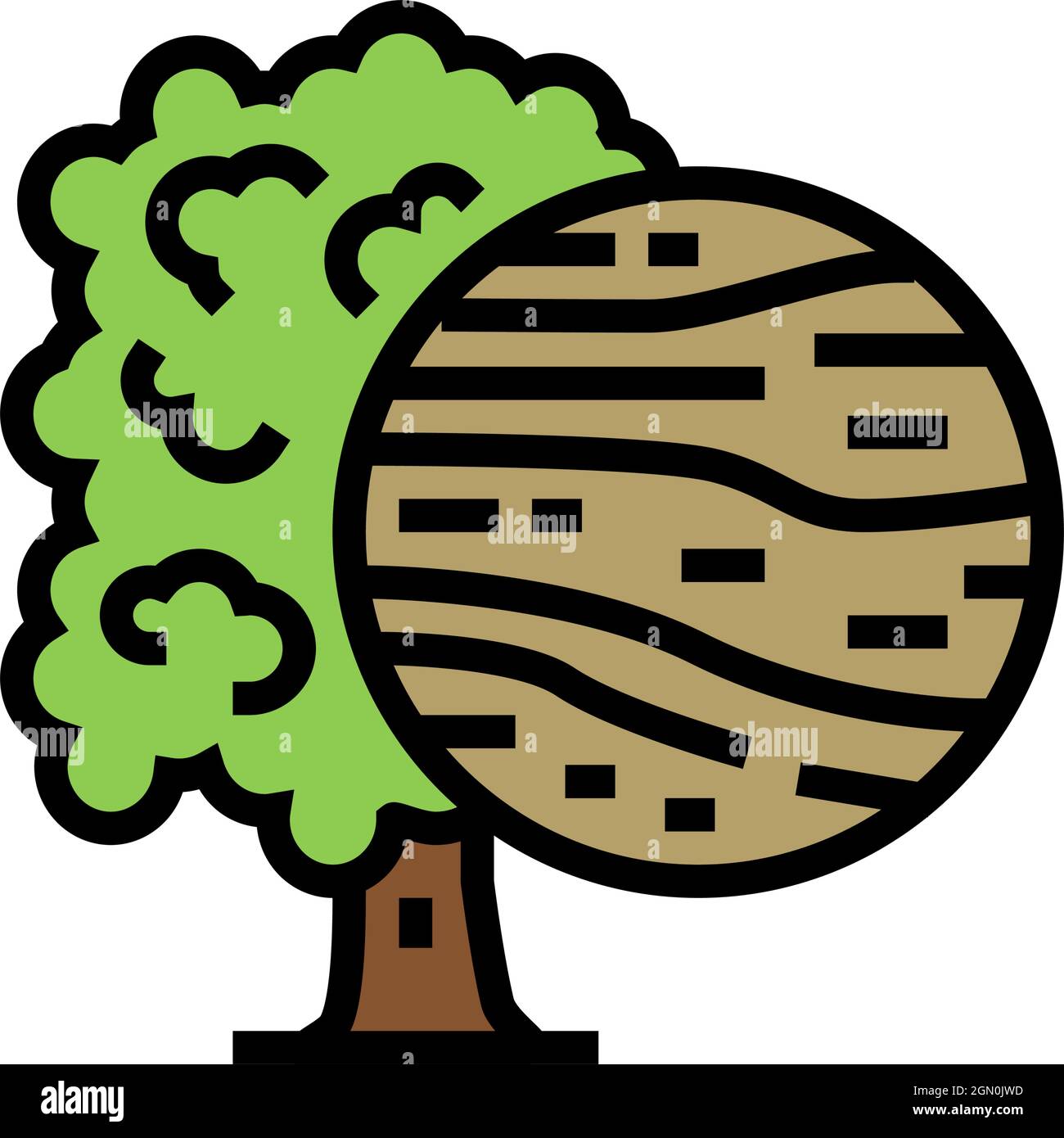 Beech tree woodland oak Stock Vector Images - Alamy