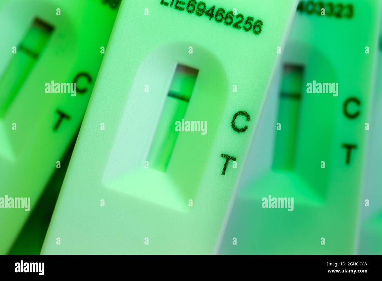 Lateral flow test showing negative result hi-res stock photography and ...