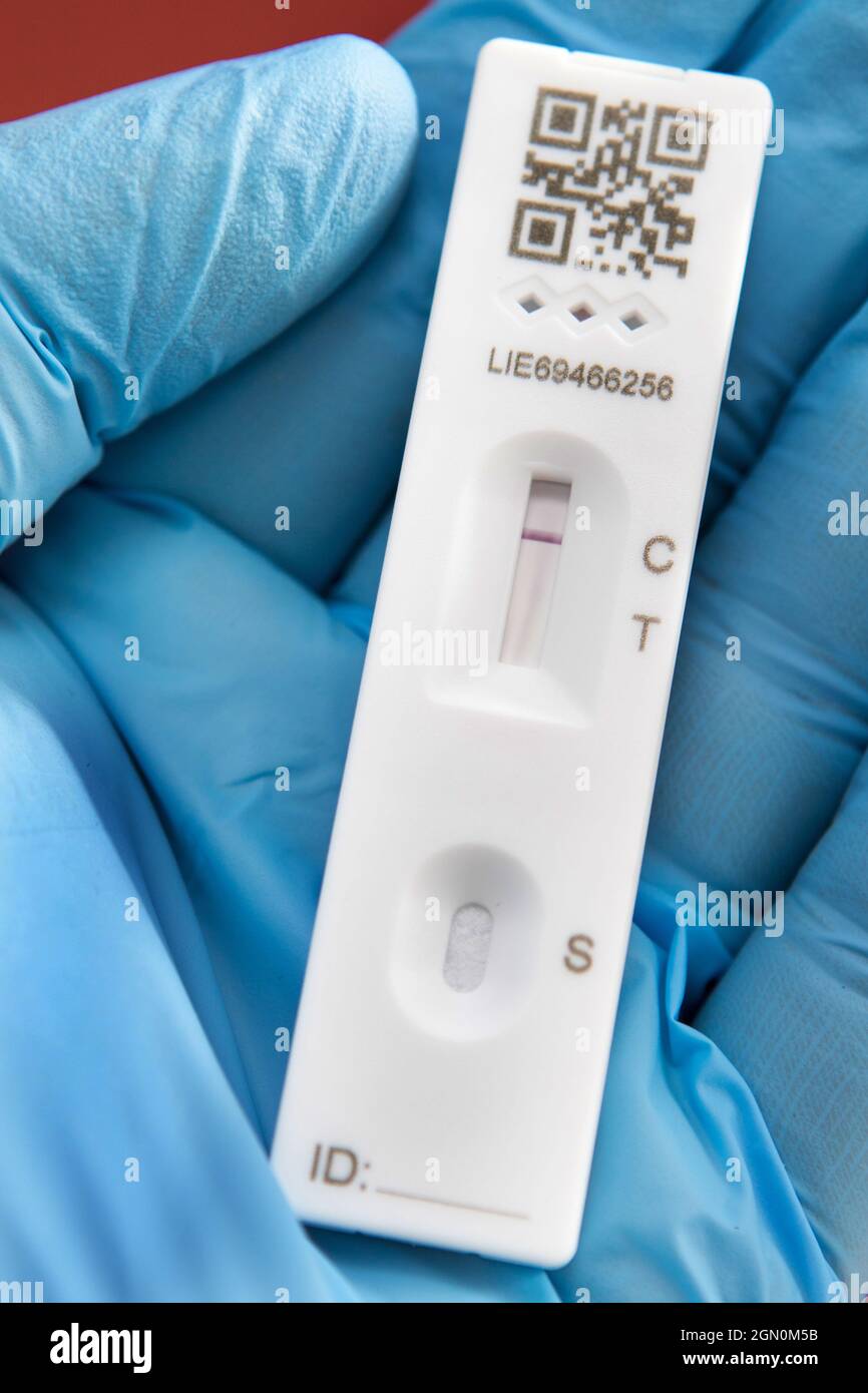 Blue medical gloves holding a Covid 19 negative result lateral flow ...