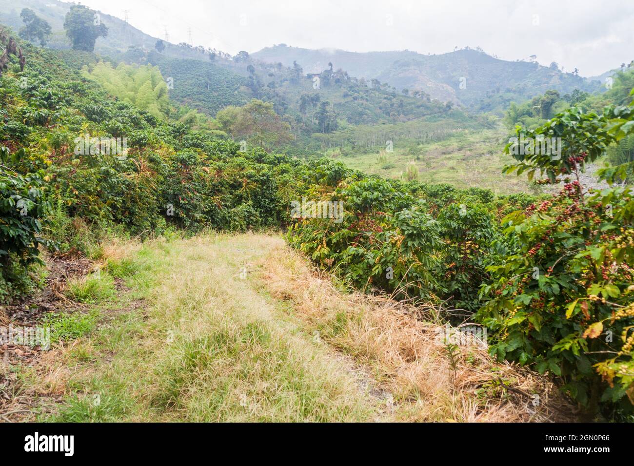 Indigenous colombia farm hi-res stock photography and images - Alamy