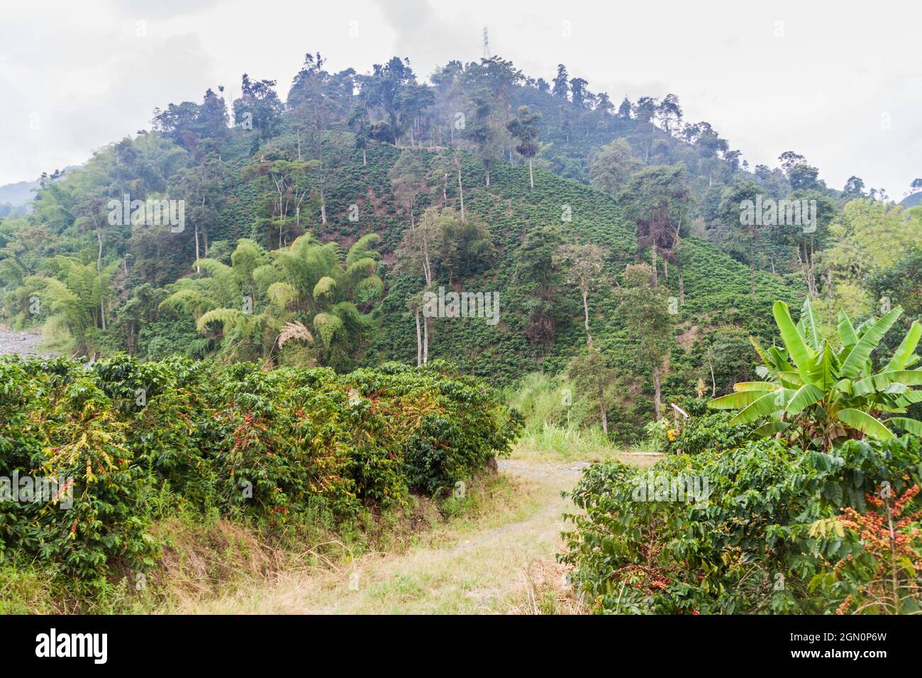 Indigenous colombia farm hi-res stock photography and images - Alamy