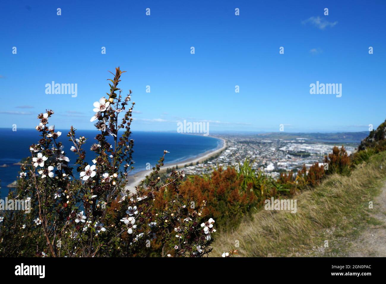 Maunganui mountain hi-res stock photography and images - Alamy