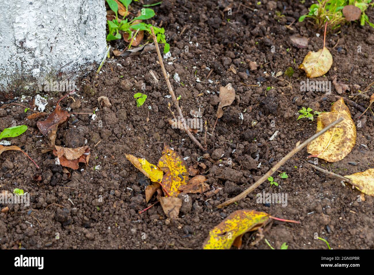 Ground cuttings hi-res stock photography and images - Alamy