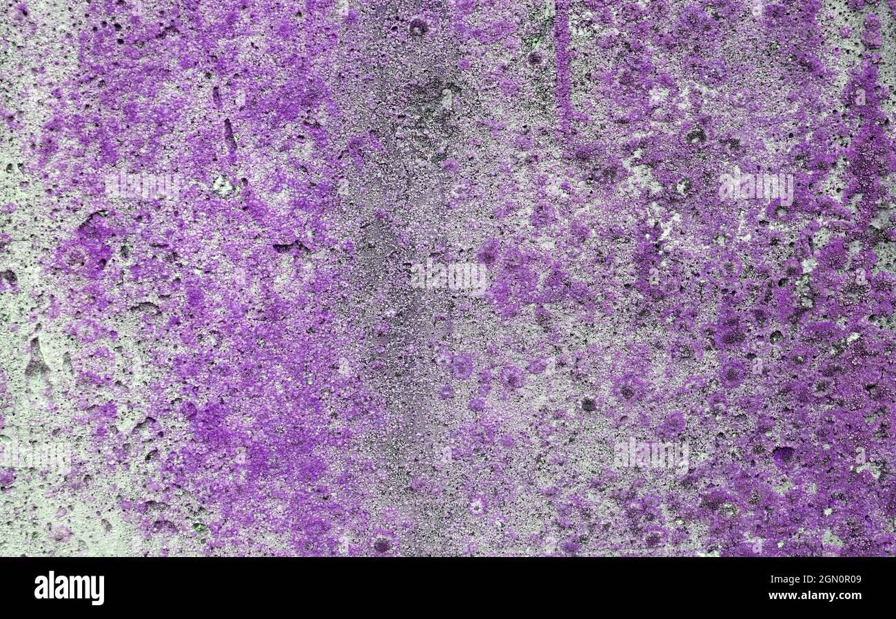 Abstract cement wall texture. Old crack dirty concrete slab. Beautiful ...